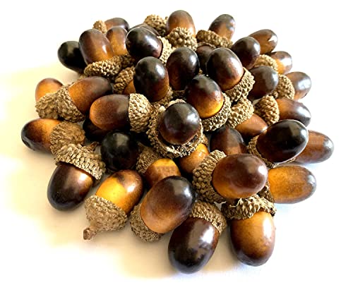 50 Pack Artificial Acorns Lifelike with Acorn Cap Simulation Small Acorn for DIY Crafting, Wedding, Home Kitchen Table Decor, Thanksgiving Halloween Christmas Festival Decorative Ornaments