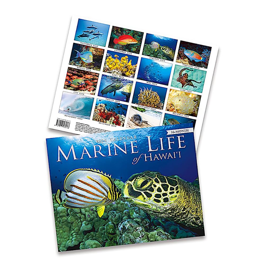 16 Month Trade 2024 Calendar November 2023 - February 2025 Marine Life Hawaii