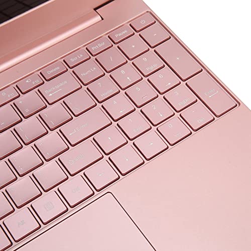 15.6in Laptop, Long Battery Life, 16GB RAM 256G ROM N5095 Processor HD Laptop, with Fingerprint Numeric Keypad for Windows 10 Backlit Keyboard, Thin Bezel, Num Pad, Detachable Webcam(16+256G)