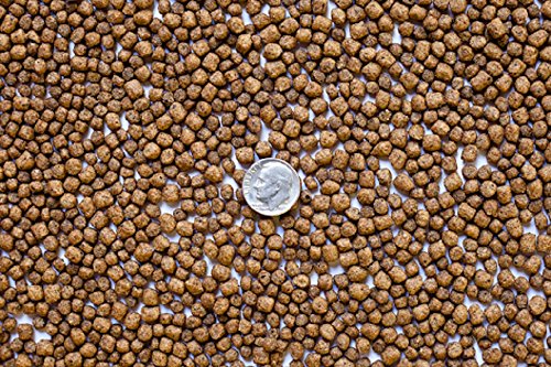 America's Best Koi Food 20 lbs Koi Fish Food Small to Medium Pond Pellets for Pond Fish with 35% Protein