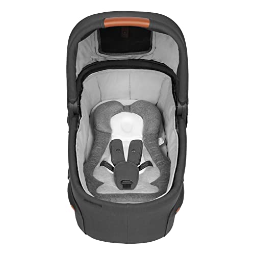 Babymoov Cosymorpho Universal Memory Foam Travel Cushion Baby Gear Insert for Newborns and Infants
