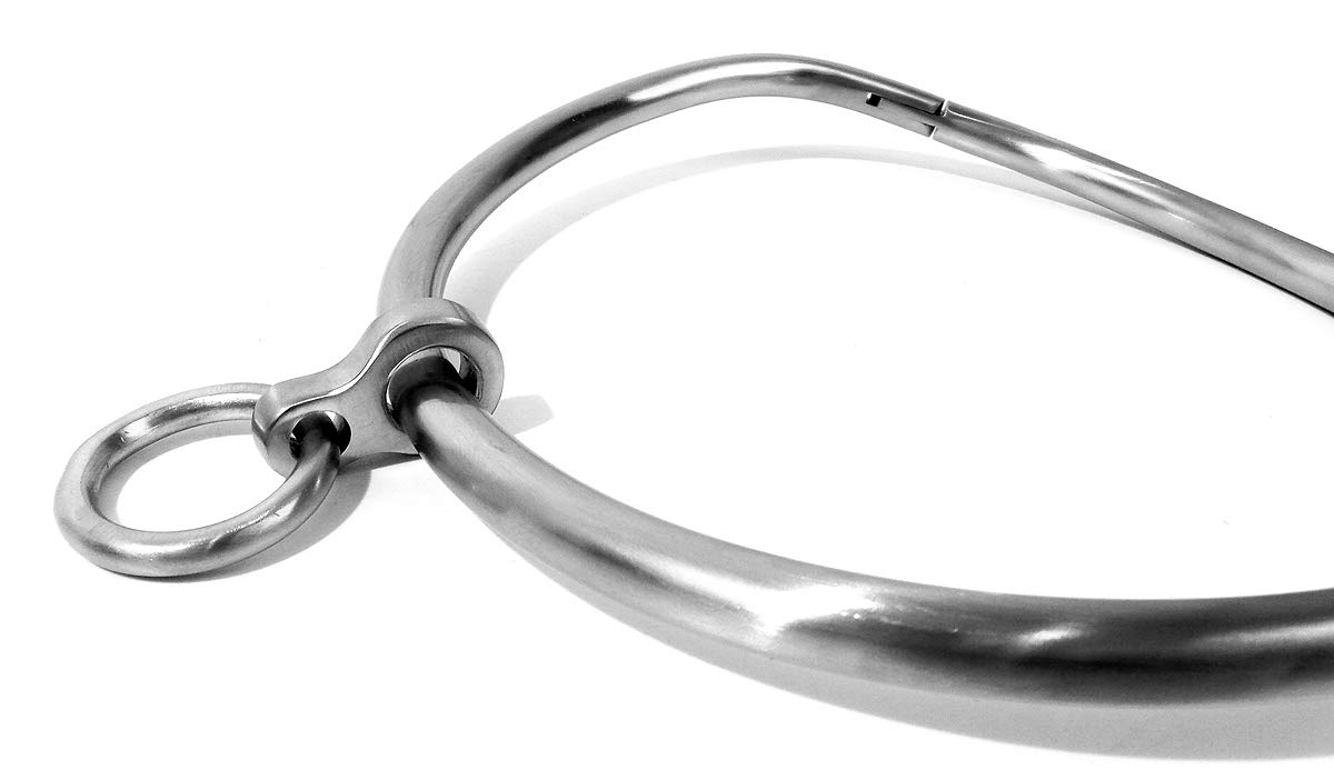 16" Locking Eternity Collar 8mm Satin Stainless Curved Neck Choker Collar w/Ring