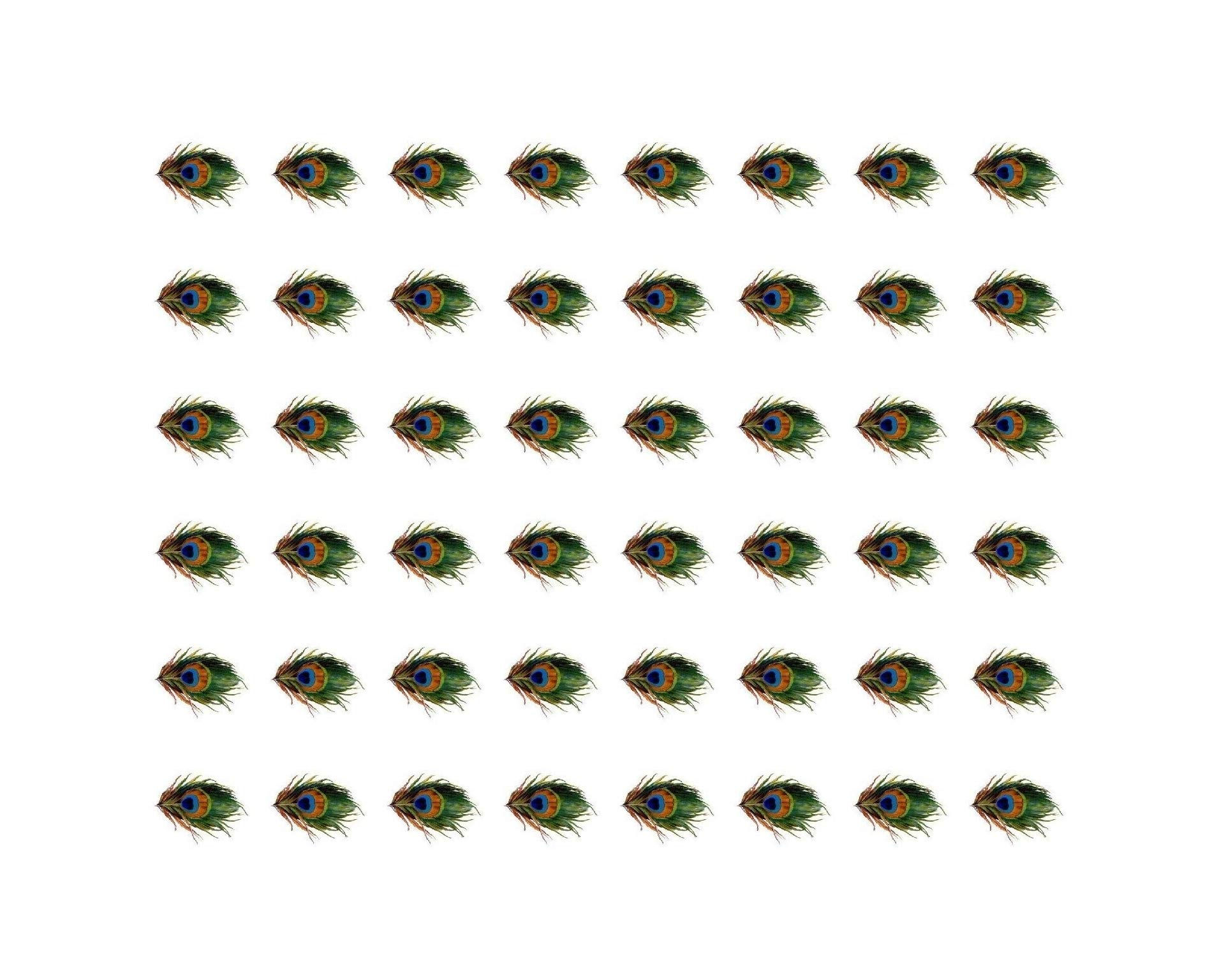 48 Pcs of 1.2" Round Envelope Seals Labels Stickers Peacock Feather