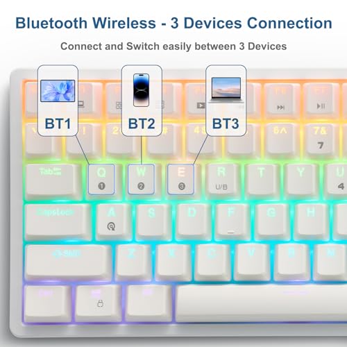 HUO JI Wireless Mechanical Gaming Keyboard, Programmable RGB Backlit, Bluetooth 5.0, Red Switches, 84 Keys, Wired 60% Keyboard for iPad, iMac Android/Windows Tablet Laptop Desktop, White