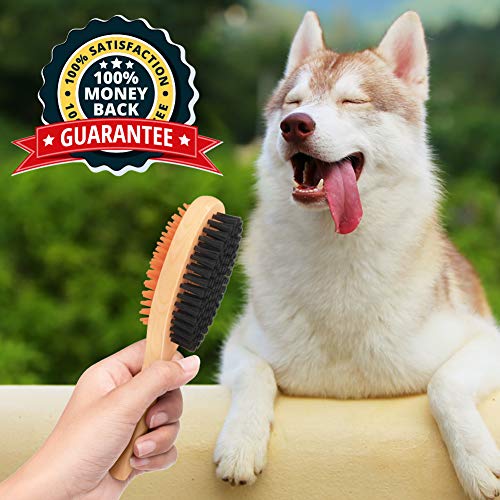 crbn Short Hair Dog Brush - Pet Brushing Comb for Short Hair Coats β Detangling and Shedding Coat Hair Remover