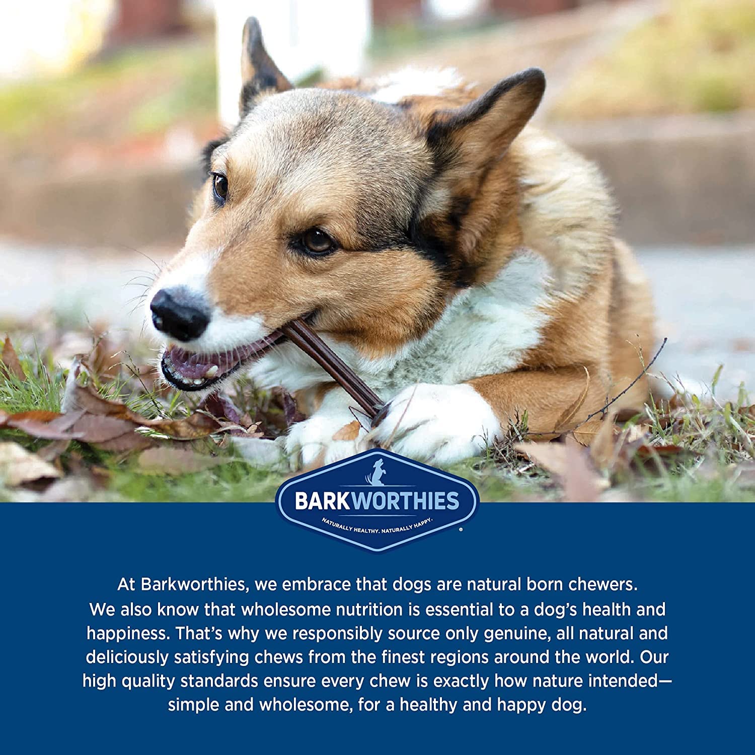 Barkworthies 95% Collagen Beef Sticks for Dogs - 2 Pack Odor Free Bully Sticks 6 inch - Grain Free, Rawhide Free, Natural Dog Chews for Puppy Teething, Dog Training, and Aggressive Chewer & E-Book