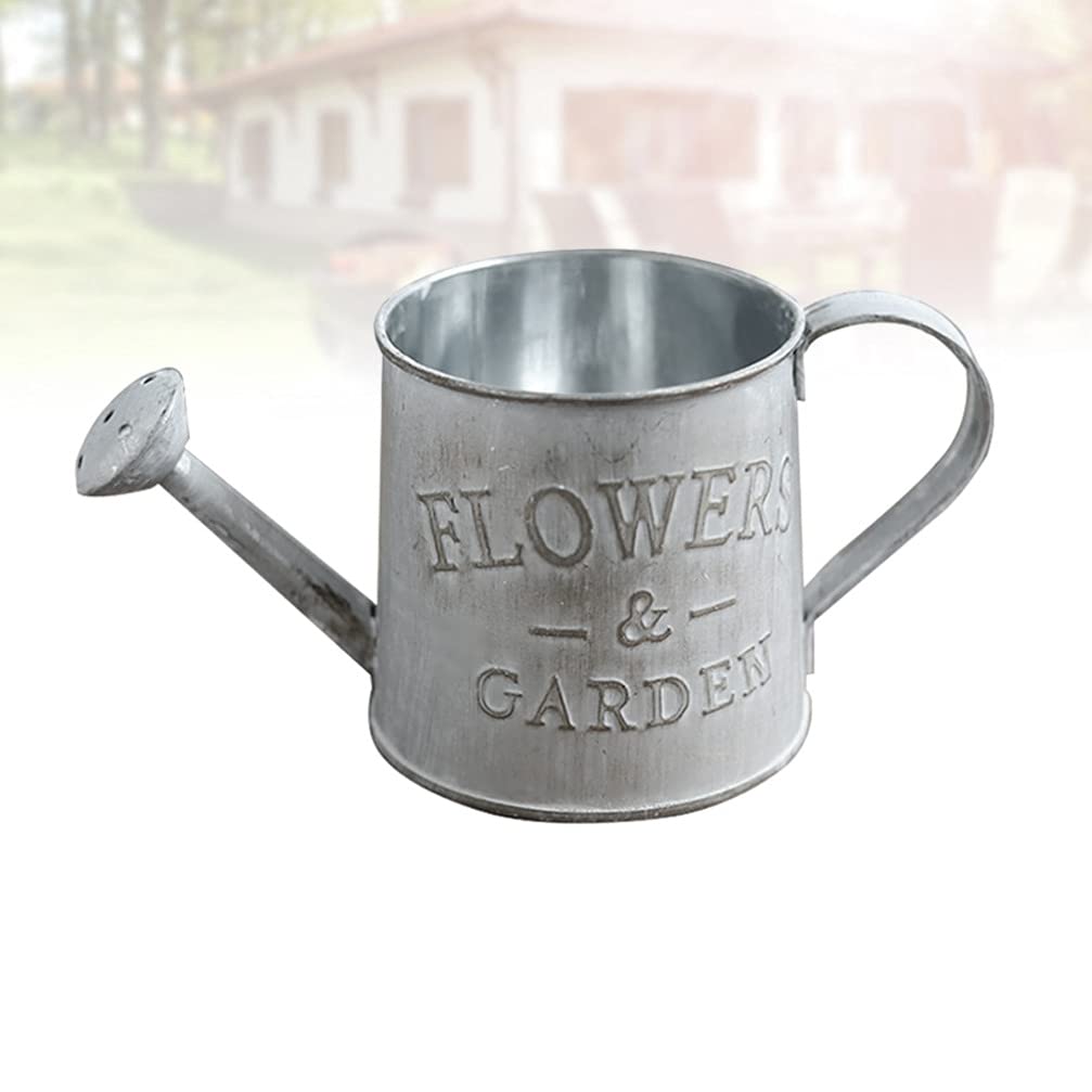 ARTIBETTER Iron Metal Jug Mental Jug Home Ornament Rustic Style Jug