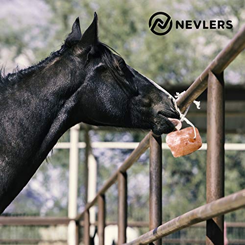 Nevlers 2 Pack Himalayan Salt Lick on Ropes for Animals -All Natural Pure Mineral Block - Himalayan Salt Block for Deer, Salt Block for Horses, Cows, & Other Livestock - 4.5-6 lbs Each