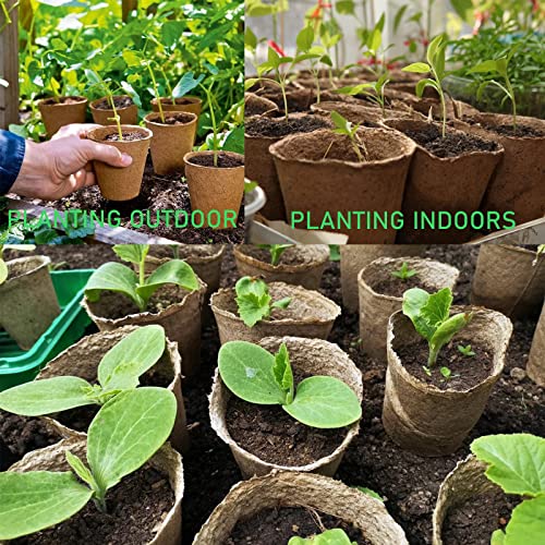IAXSEE 100 Pack Peat Pots, Nursery Pots 3.15 Inch Starting Planter