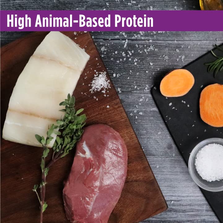 Nulo Freestyle Cat & Kitten Food, For Hairball Management, Premium Grain-Free Dry Small Bite Kibble, All Natural Animal Protein Recipe with BC30 Probiotic for Digestive Health Support