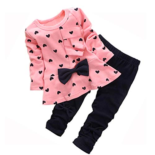 Cute Toddler Baby Girls Clothes Set Long Sleeve T-Shirt and Pants Kids 2pcs Outfits (Pink2, 2-3 T)