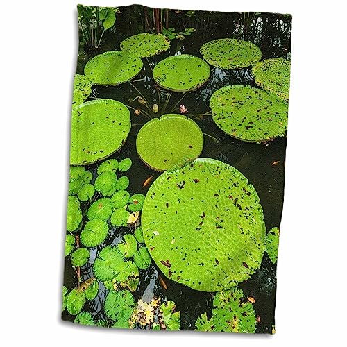 3dRose Lilly Pads in Ginger Garden at Singapore Botanic Gardens, Singapore. - Towels (twl-366353-1)