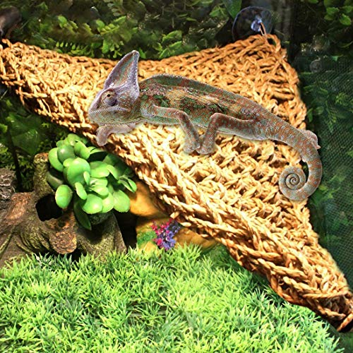 PINVNBY Bearded Dragon Tank Accessories,Reptile Plants Hanging Climbing,Lizards Habitat Natural Seagrass Hammock and Artificial Bendable Vines Branch for Chameleon Geckos Snake and Hermit Crabs