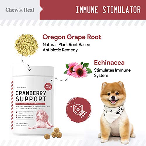 Chew + Heal UTI Treatment Cranberry Chews for Dogs - 120 Soft Chews - Supports Healthy Urinary Tract and Bladder Function - Corrects Imbalances - with Echinacea and Vitamin C