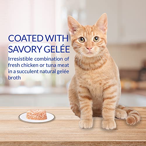 INABA Twins for Cats, Grain-Free Shredded Chicken & Broth Gelée Side Dish/Complement/Topper Cups, 1.23 Ounces per Serving, 14.76 Ounces Total (12 Servings), Chicken Recipe