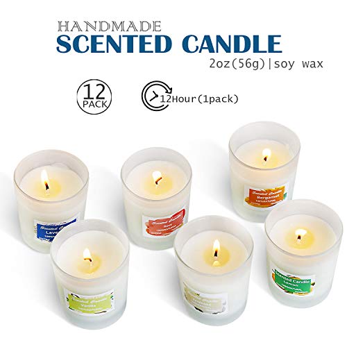 HELLY Soy Candle Strong Scented Candles - Aromatherapy Candles Long Lasting Candles White Frosted Glass Jar Candle (Lemon, Lavender, Rose ,Jasmine,Vanilla,Bergamot) -12 Pack
