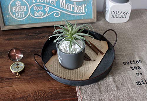 Funerom 10.2 inchs Round Galvanized Metal Round Tray with Handles