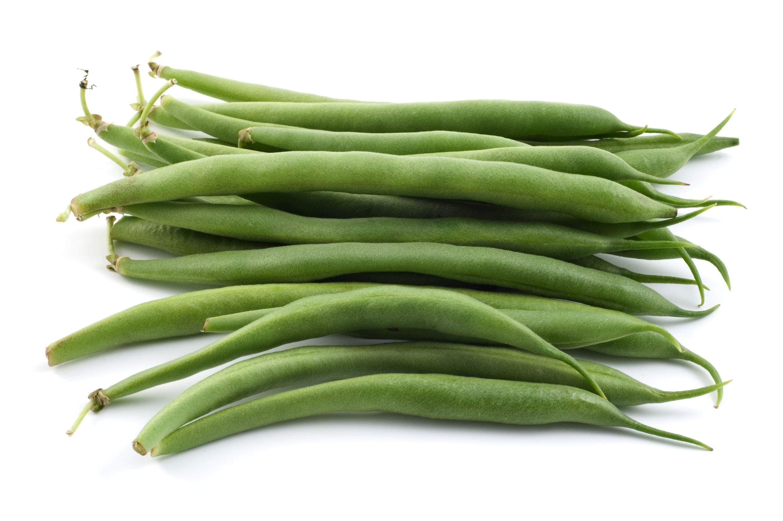 50 Green Bean Seeds for Planting - Provider - Bush Bean - Heirloom Non-GMO Vegetable Seeds for Planting