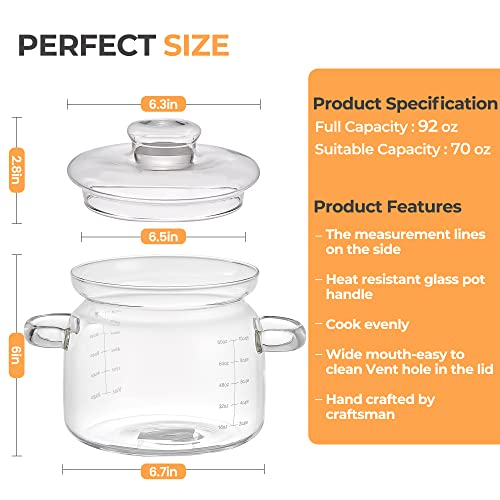 3-Quart Glass Stock Pot,Glass Pitcher,Stockpot, Stew Pot, Simmering Pot, Soup Pot with Lid, Dishwasher Safe