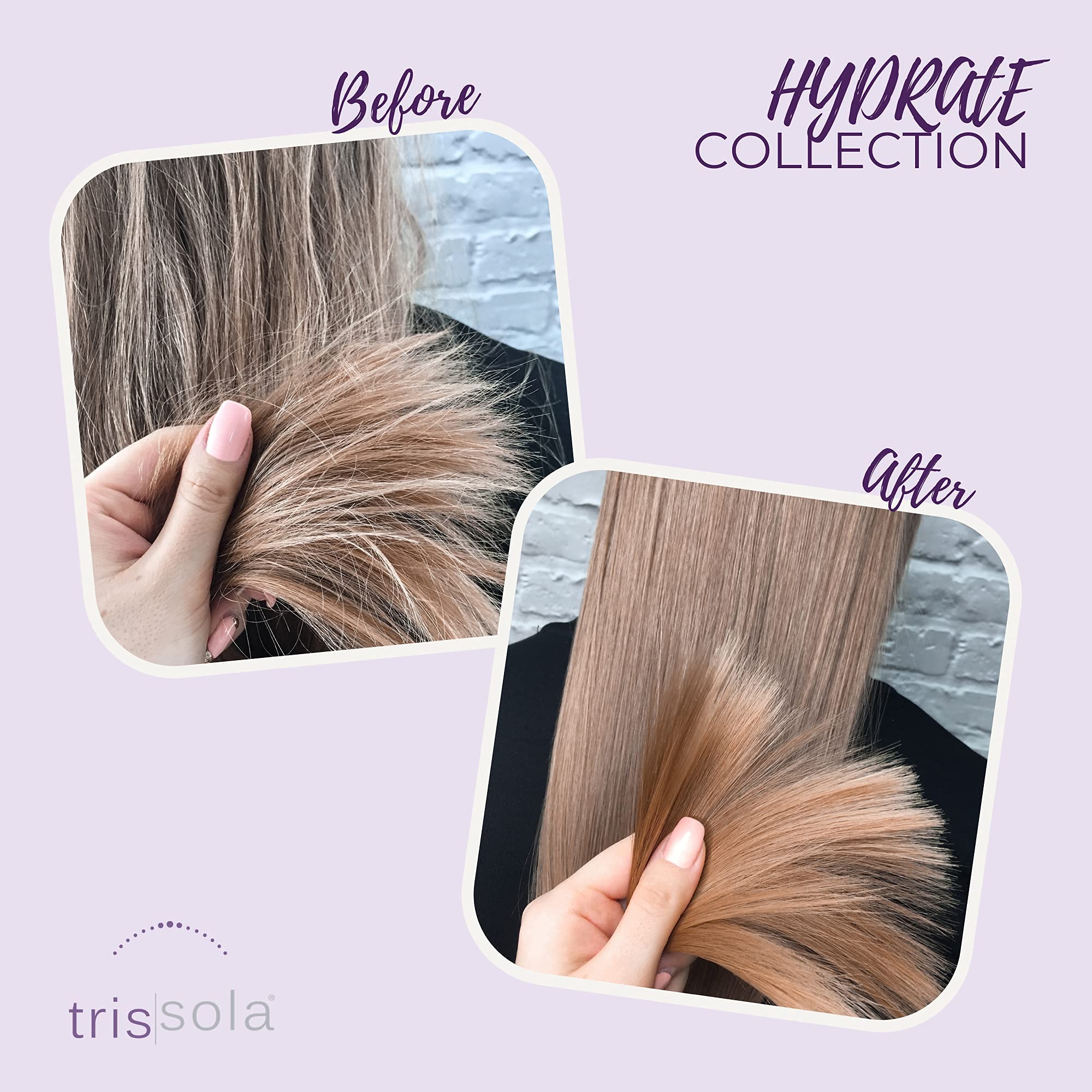 Trissola Hydrate Shampoo and Conditioner Duo - Moisturizing Hair Shampoo and Conditioner Set (8.4 oz)