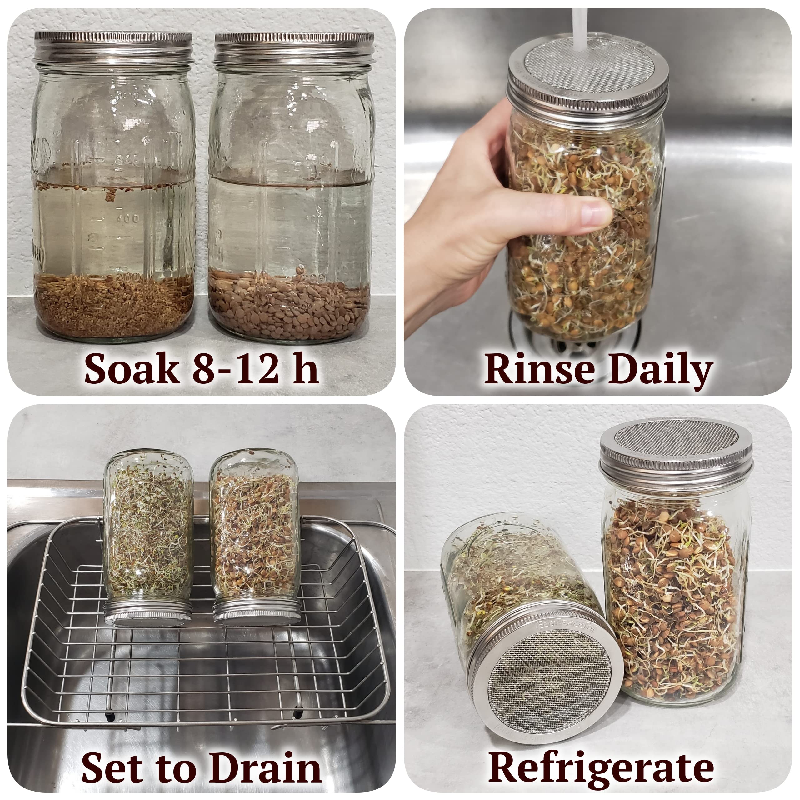 2 Pack Mason Jar Sprouting Lids - 316 Surgical Stainless Steel Sprouting Lids for Wide Mouth Mason Jars - Screen Mesh Strainer, Sprouter Kit for Alfalfa & Broccoli Seeds - Rust-Proof, Dishwasher Safe