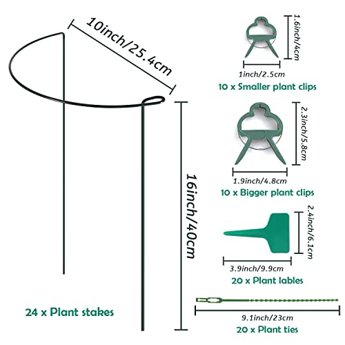 24 Pack Plant Support Stake, Half Round Metal Garden Plant Stake, Green Plant Support Ring, Border Support with Plant Lables & Plant Clips for Outdoor Indoor Plants, Vegetable, Flowers