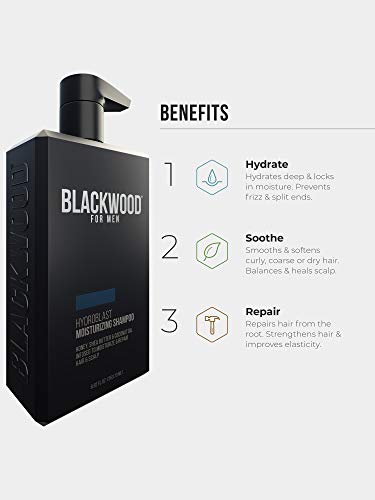 Blackwood For Men Hydroblast Moisturizing Shampoo - Shampoo for Coarse, Dry, & Curly Hair - Infused with Ginseng & Ginger - Natural Vegan Formula - Sulfate Free, Paraben Free, & Cruelty Free (8.92 Oz)