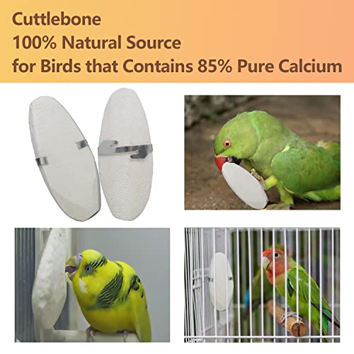 Jmxu's Cuttlebone for Birds, Natural Bird Calcium for Parakeet Cuddle Bone for Cockatiels Tortoise, 4.5 to 5.5 inch