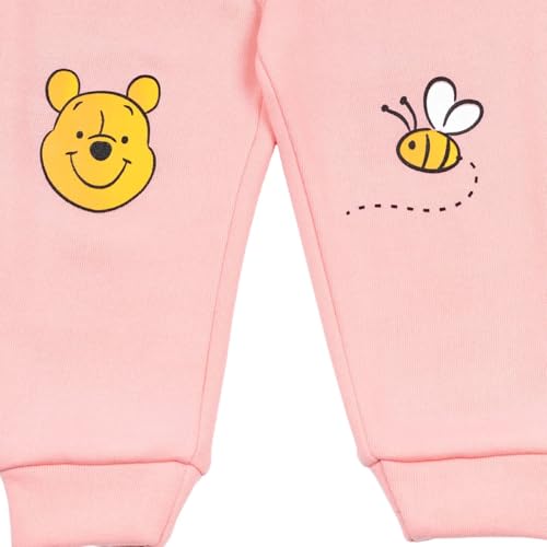 Disney Winnie the Pooh Infant Baby Girls Fleece Sweatshirt and Pants Set Pink 18 Months
