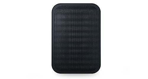 Bluesound Pulse Flex 2i Portable Wireless Multi-Room Smart Speaker with Bluetooth - Black - Compatible with Alexa and Siri