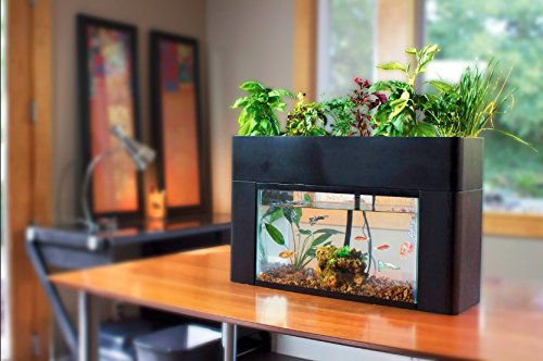 AquaSprouts Garden, Self-Sustaining Desktop Aquarium Aquaponics Ecosystem Kit, fits Standard 10 Gallon Aquariums