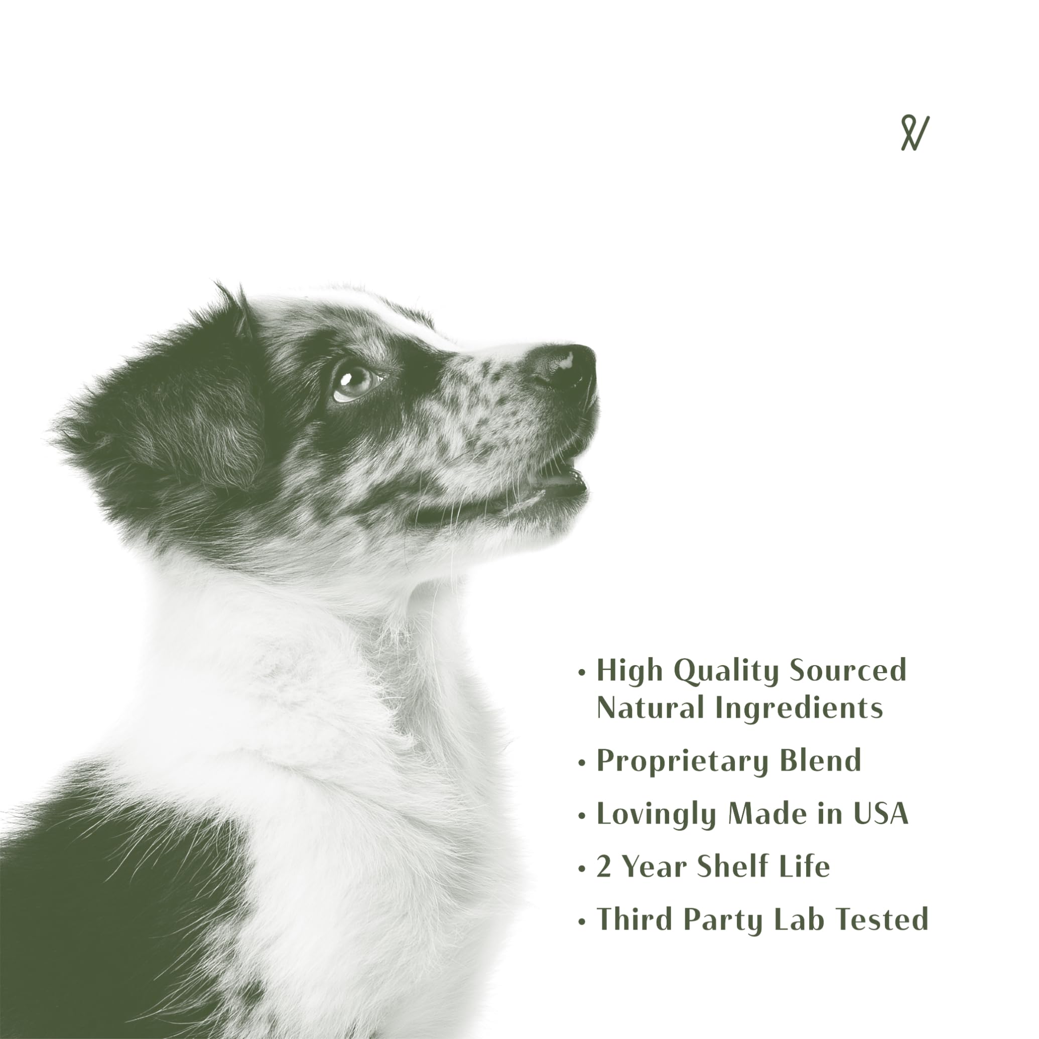 2024 Everpath Upgraded Immune Support for Dogs and Cats - 2 Fluid Ounces/60mls | USA Made| Strengthens & Improves Immune Health | Supports Overall Health and Vitality | Natural Solution for Pets