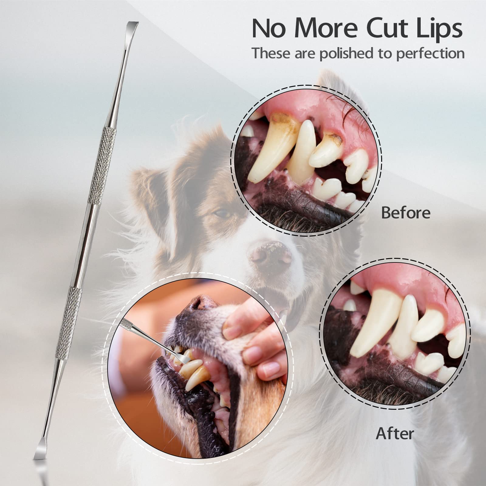 5 Pcs Dog Dental Tooth Scaler and Scraper Set with PU Carry Case, Including 2 Double-Headed Tartar Remover,1 Tooth Scraper, 1 Tweezers and 1 Mouth Mirror, Pet Teeth Cleaning Tools for Dog and Cat