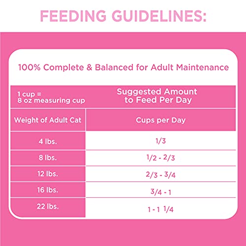 IAMS PROACTIVE HEALTH Adult Sensitive Digestion & Skin, Dry Cat Food with Turkey Cat Kibble, 6 lb. Bag