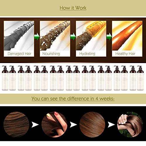 Argan Oil Shampoo and Conditioner Set (2 x 16.9 Oz) - MagiForet Organic Shampoo & Conditioner Sulfate Free - Volumizing & Moisturizing, Gentle on Curly & Color Treated Hair,For Men & Women (cd set)