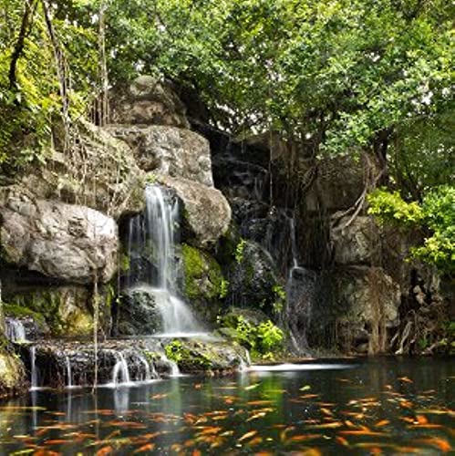 America's Best Koi Food 40 lbs Koi Fish Food - Two 20 lb Sealed Bags - 35% Premium Protein - 1/8 Inch - 3/16 Inch Medium Sized Pond Pellets