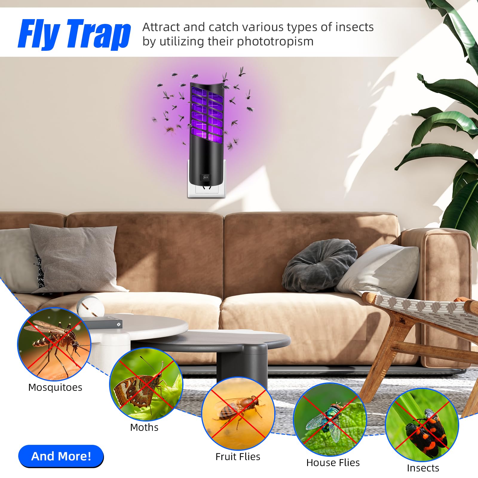 2 Pack Large Flying Insect Trap Plug In,Mosquito Gnat Flea Insect Traps Catcher Killer with Night Light & 20 Sticky Trap Boards, Fruit Fly Traps for Indoor Bug Catcher Fly Traps Indoor for Home Office