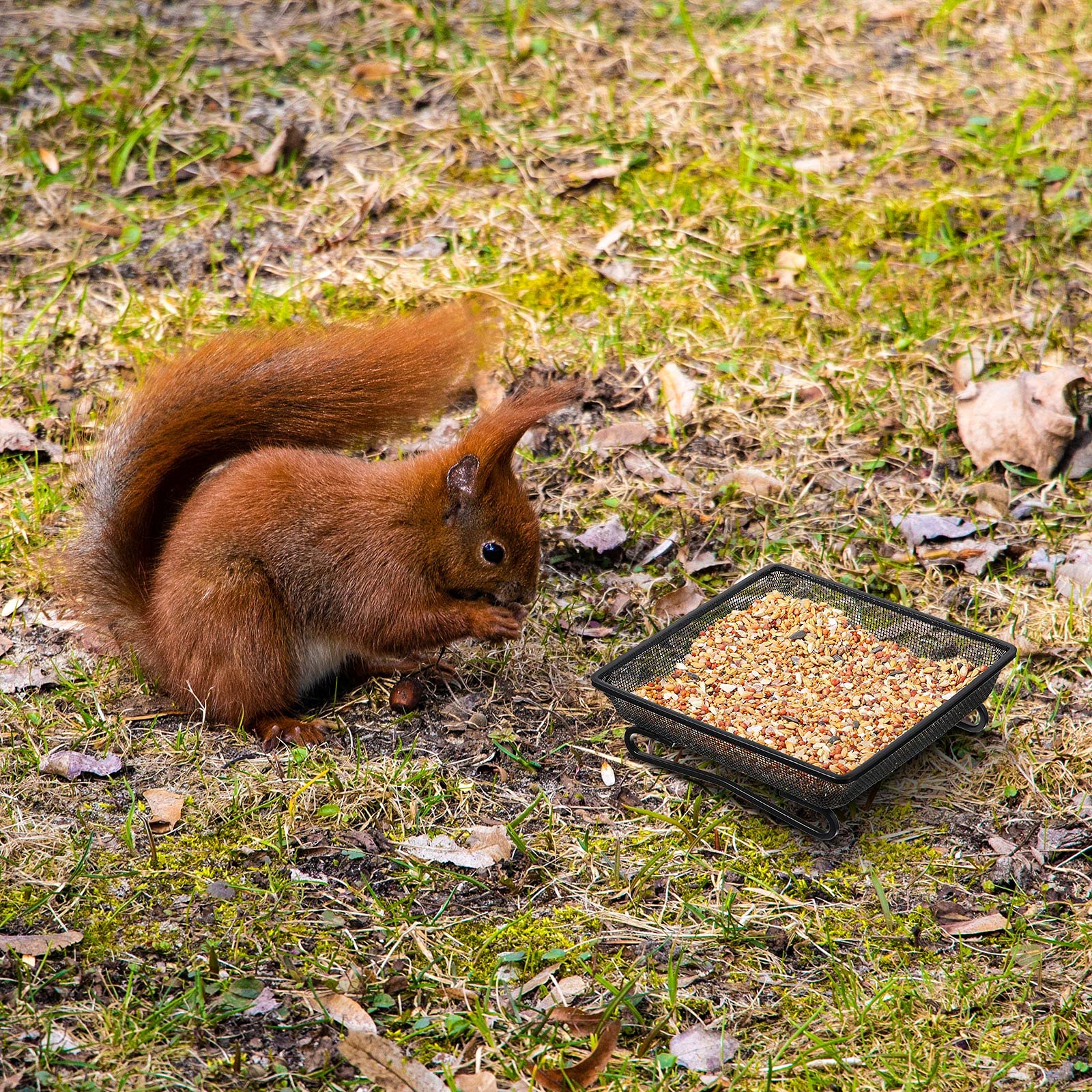2 Pieces 7 x 7 x 2.7 Inch Metal Ground Bird Feeder Compact Platform Bird Seed Tray and 4 Pieces Elastic Rope for Outdoor Dove Birds or Squirrels Garden Decoration (Black)