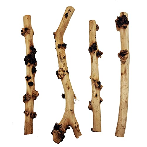 Hamiledyi Aquarium Driftwood Branches,Natural Forest Branches Assorted Size Tree Trunks Aquarium Wood Decor Fish Tank Terrarium Decoration (4 Pcs)