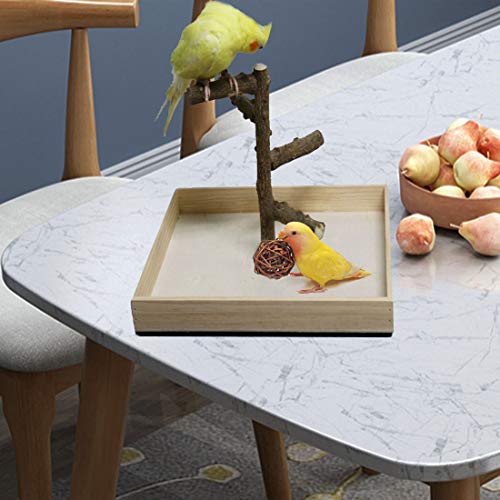 Hamiledyi Bird Perch Stand Tabletop,Parrot Playground Bird Gym Natural Wooden Perch PlayStand Platform for Parrots Parakeets Canaries Cockatiels Conure Lovebirds