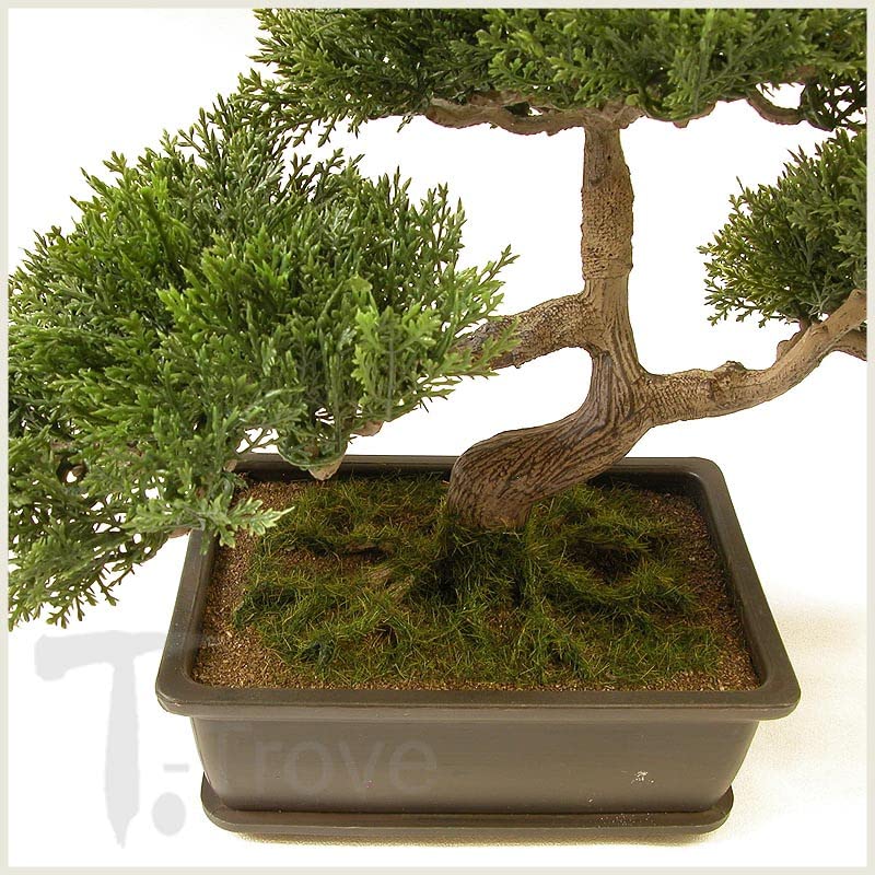 Artificial Japanese Cedar Bonsai Tree 9 inch Tall