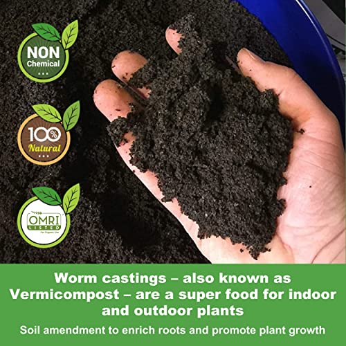 20 oz 100% Organic Worm Castings β Natural Superfood for Plant Growth, Root Development & Growing Healthier, Stronger Crops β Non Toxic & Kind to Soil β Resealable Zip Pouch β Life Cycle Organics
