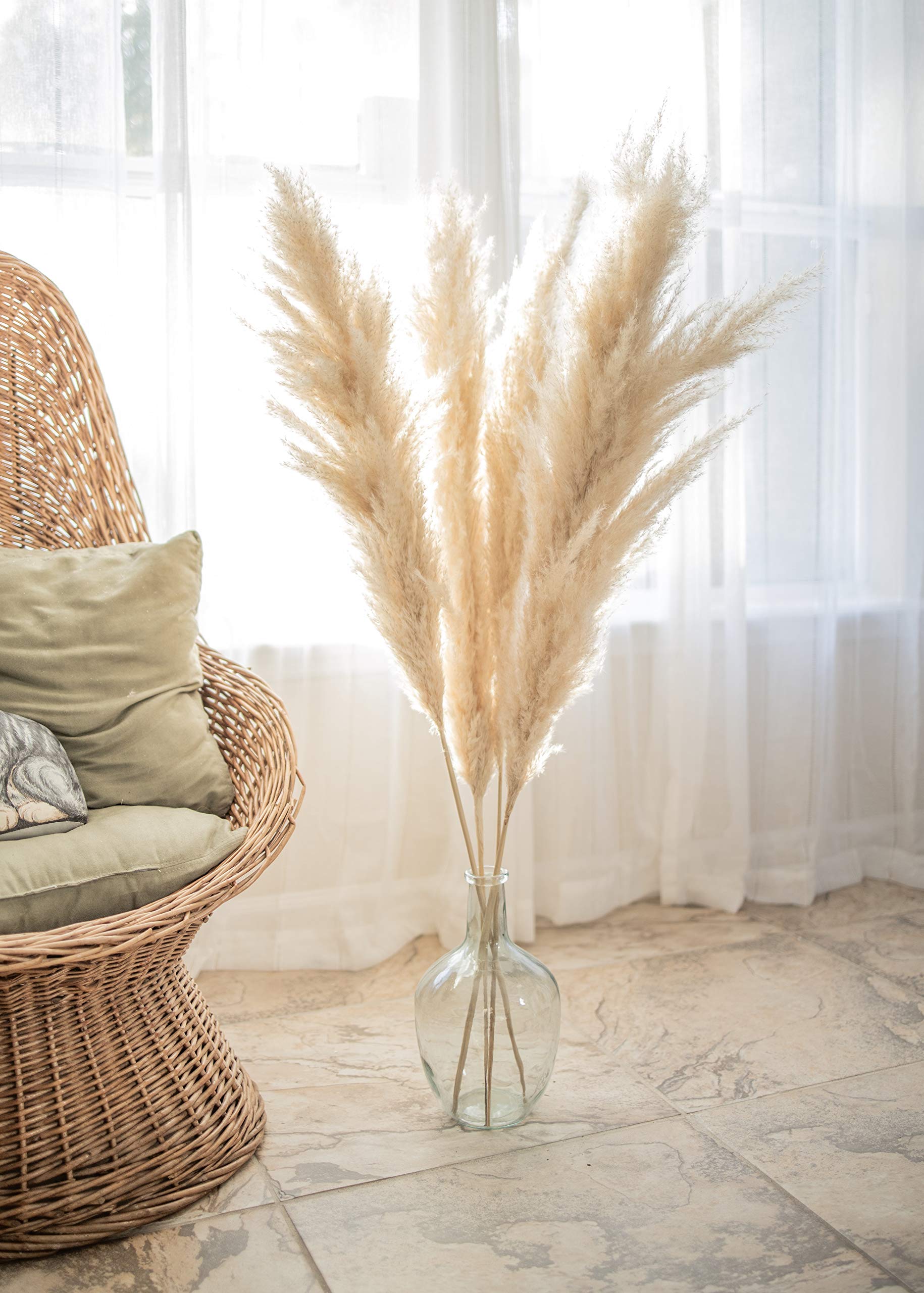 48" Extra Large Pampas Grass Stems Beige- 4 Pampas Stems - Tall-Pampas Grass for Floor Vase - Wedding Decoration
