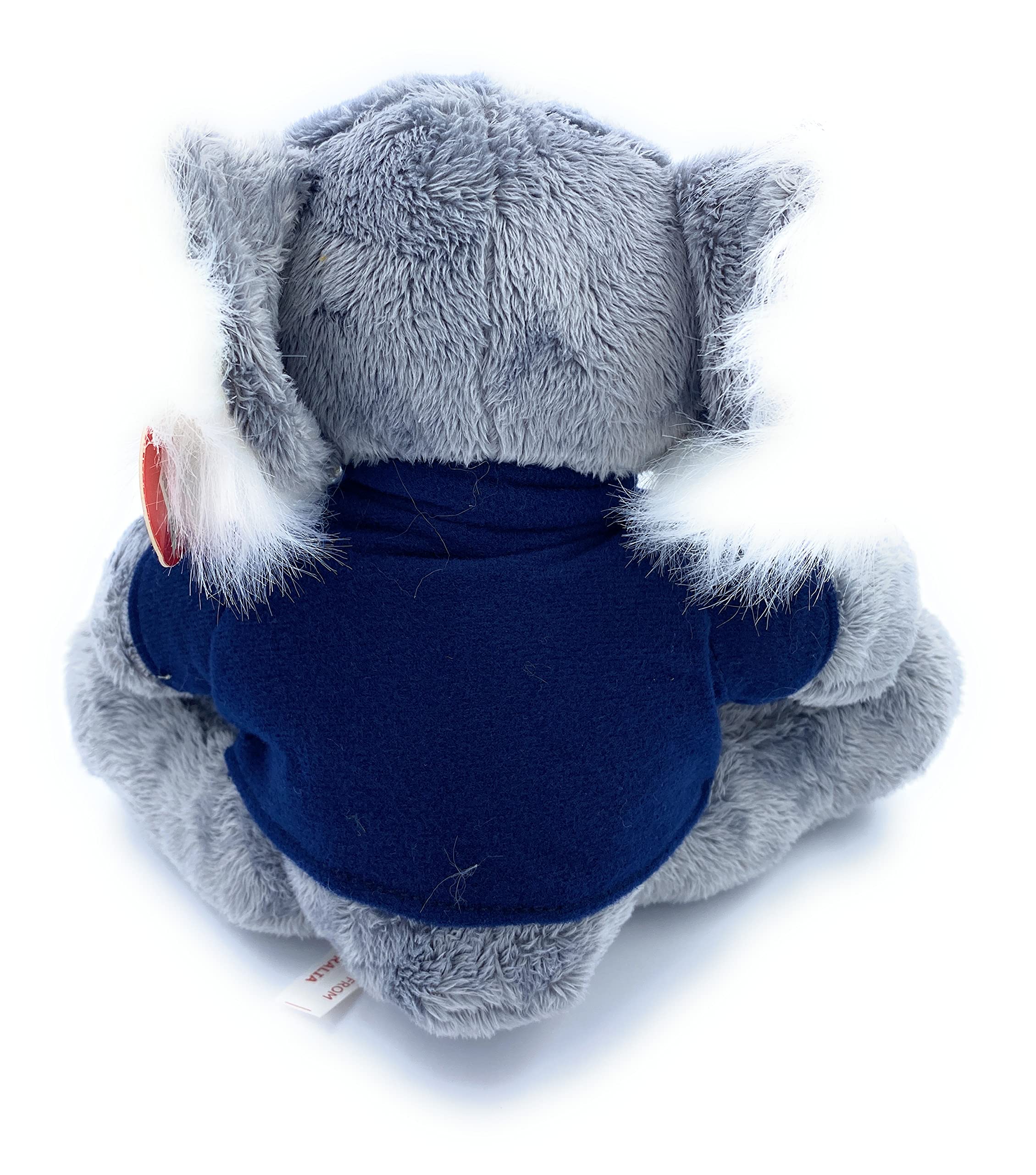 Aeisage Koala Stuffed Animal - 8 Inch Plush Koala Bear with T-Shirt, Super Soft Australian Souvenir Gift