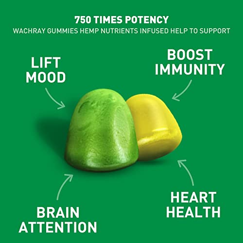 2 Packs Organic Hemp Gummies 7,500,000 High Strength - High Potency Hemp Oil Infused Natural Hemp Candy Supplements - 160 Gummies