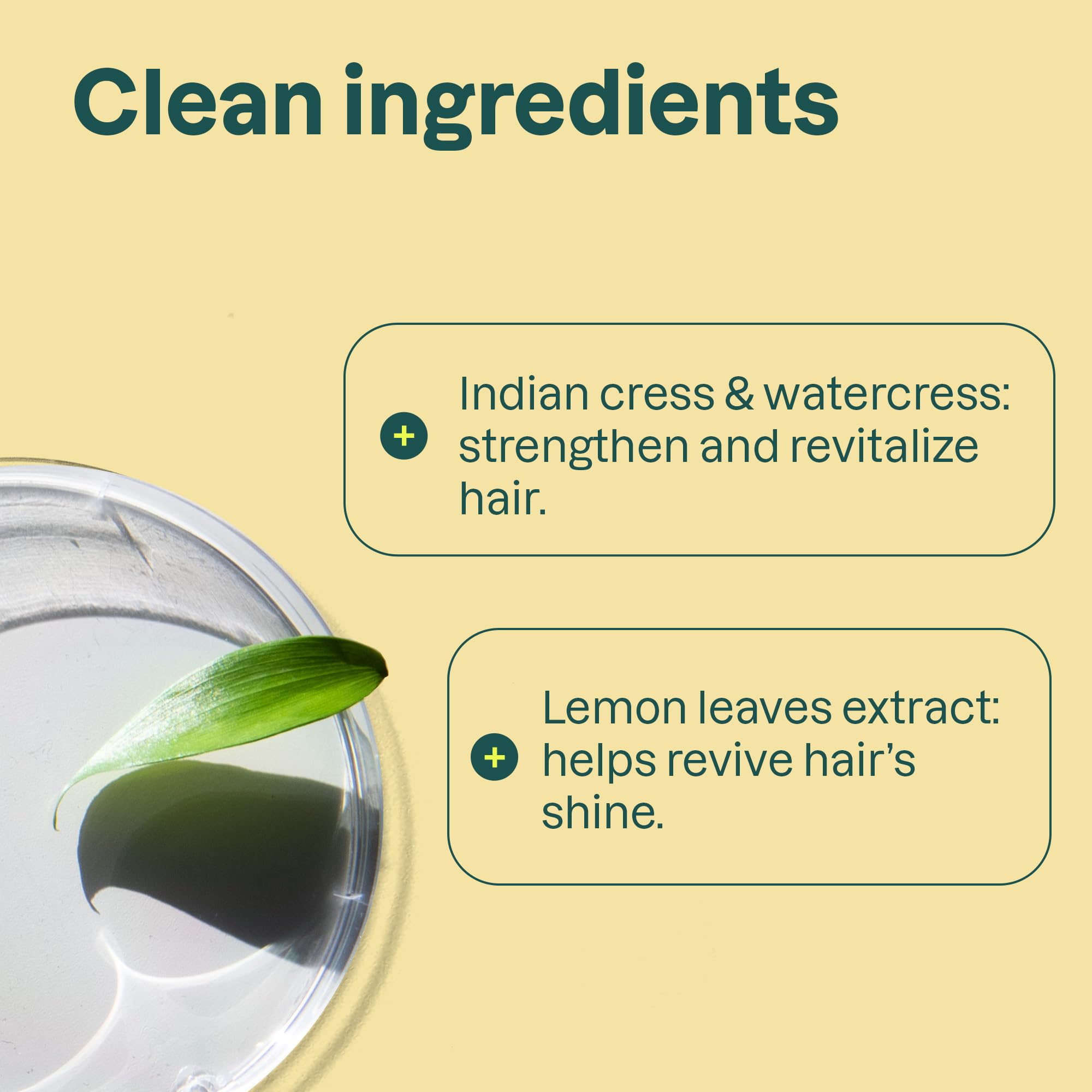 ATTITUDE Clarifying Hair Conditioner, Restores Shine, Naturally Derived Ingredients, Vegan Detangler, Dermatologically Tested, Lemon Leaves and White Tea, 8 Fl Oz