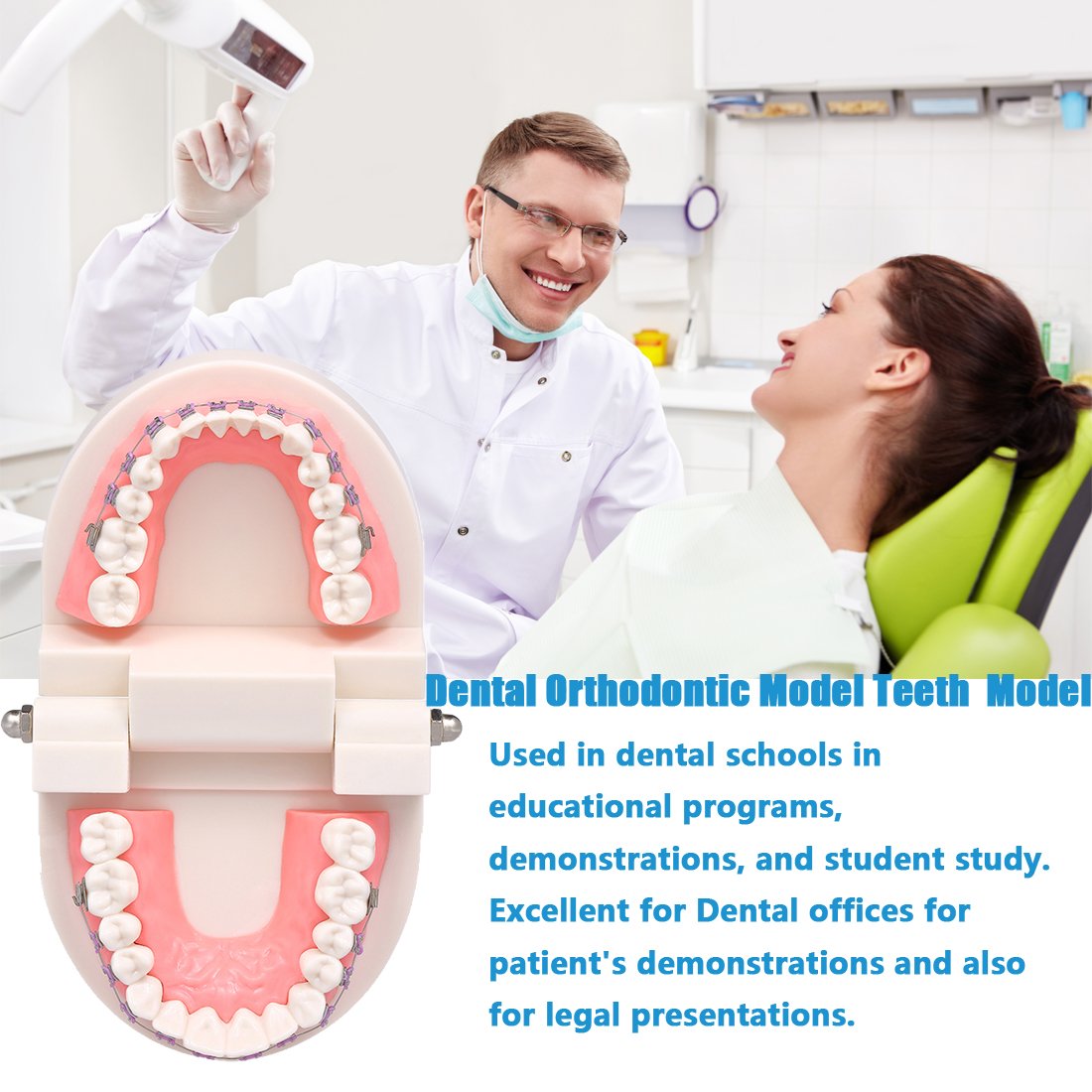 Angzhili 1 Piece Dental Demonstration Orthodontic Model with Metal Wires and Bracket (Metal bracket)