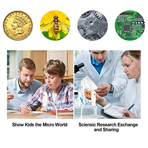 Digital Microscope USB Microscope 1080P 50-1000X Magnification Handheld Portable Microscope Camera with 8 Lights, Stand for iPhone/Android/iOS/PC, Tablet (White)