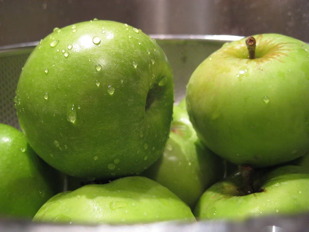 2 Granny Smith Apple Tree 1Ft to 2Ft Live Plant Green Apple Fruit Tree No Ship CA Planting Hardy