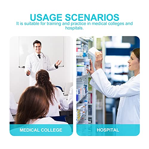 3pcs Pad Nurse Model Suturing Injection Educational Intramuscular Medical Students Diabetics Silicone Equipment Training for Trainer Supplies Muscle Module Practice Student